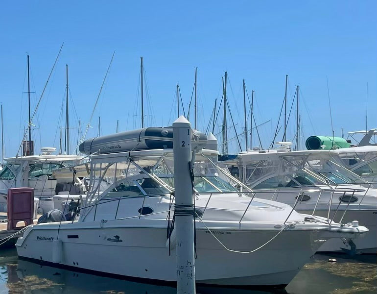 30' Wellcraft Boat Charter – puertoricoboatcharters